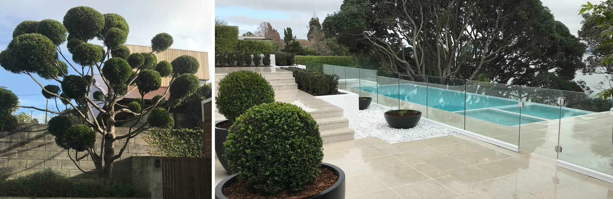 Gardener Auckland, North Shore, Herne Bay | Fine Lawns & Gardens