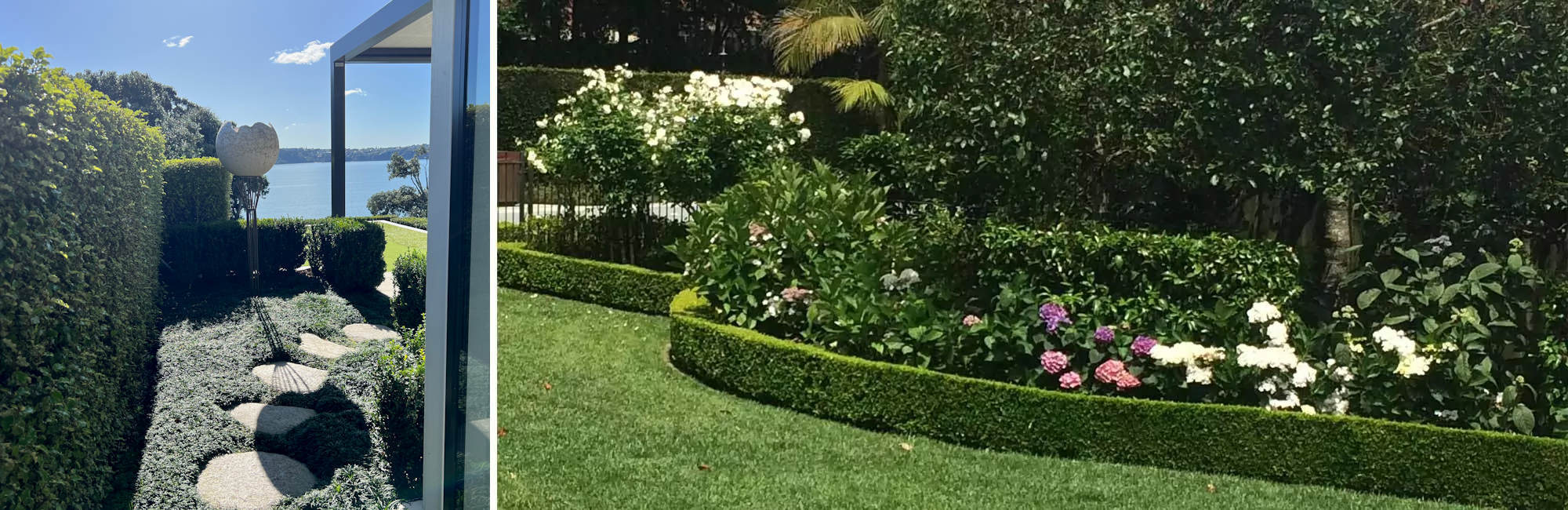 Gardener Auckland, North Shore, Herne Bay | Fine Lawns & Gardens