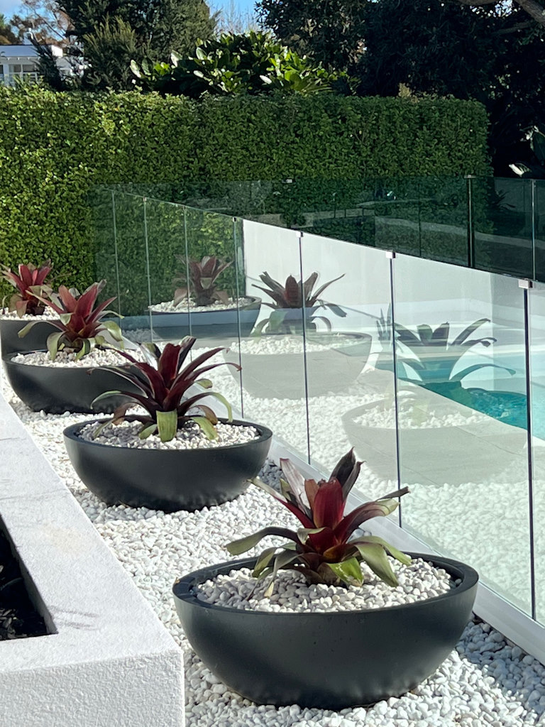 Gardener Auckland, North Shore, Herne Bay | Fine Lawns & Gardens