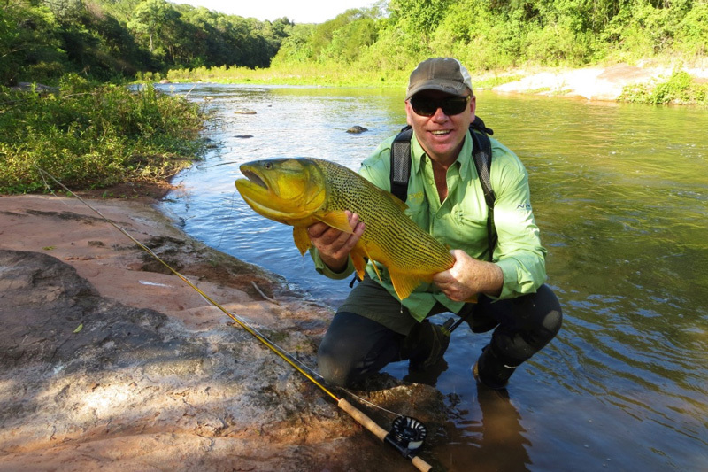 Landscape Gardener Auckland | Gardening Company North Shore